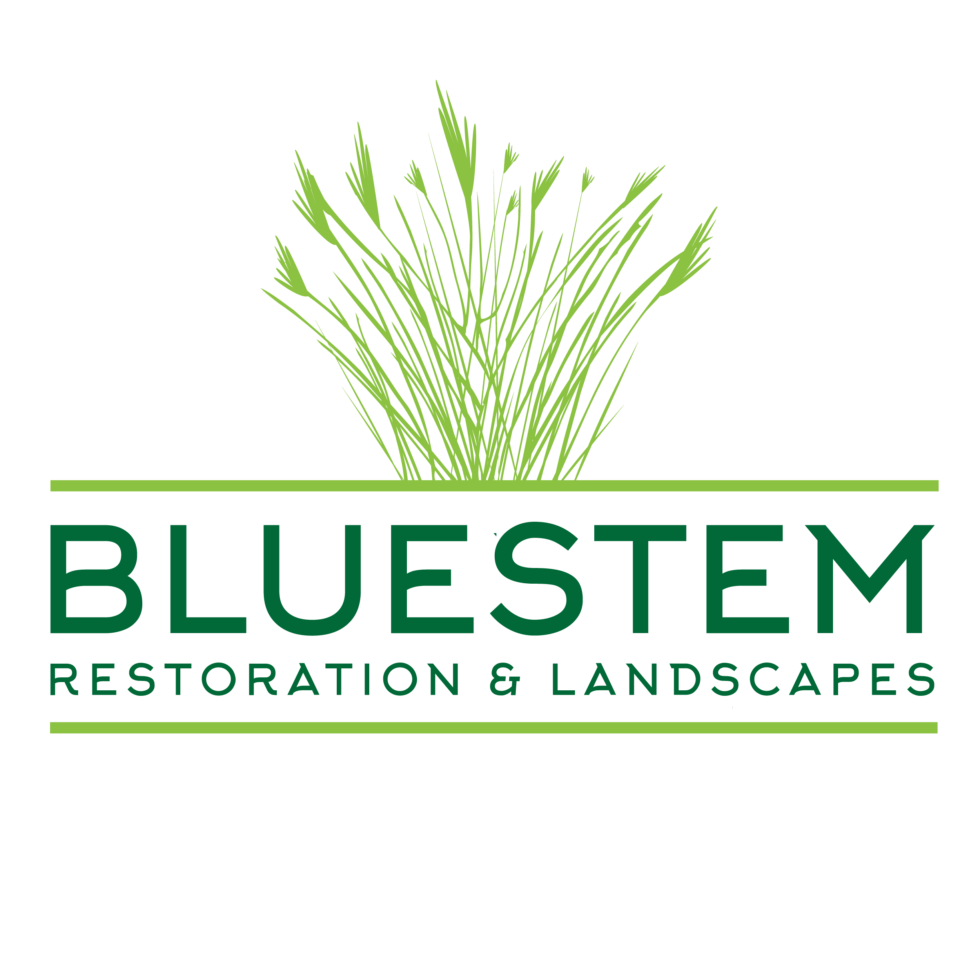 Home - Bluestem